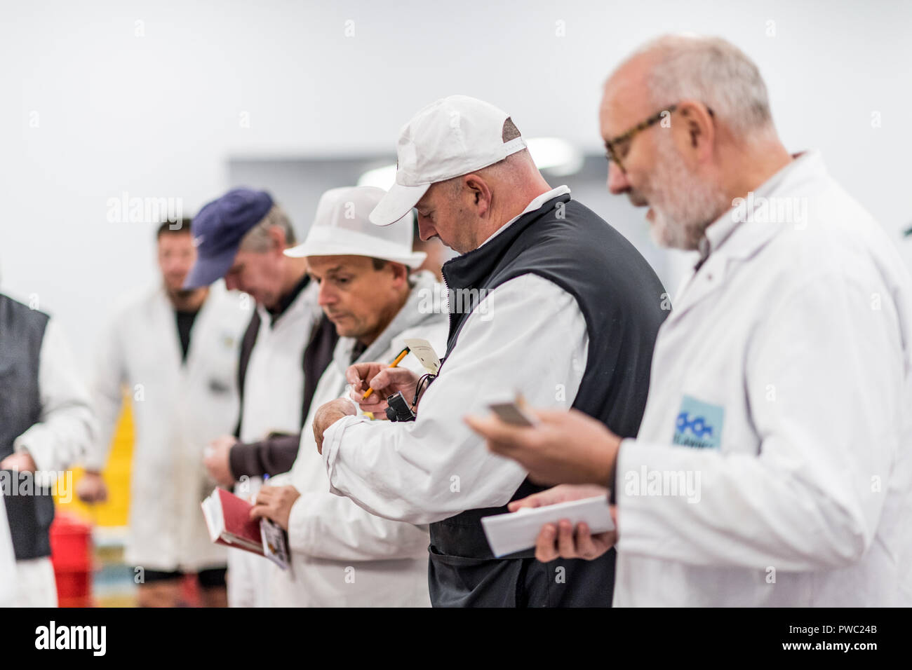 Newlyn fish market auction Cornwall Stock Photo - Alamy