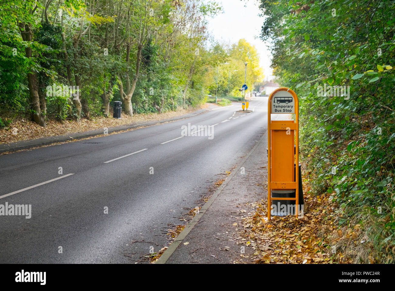 Temporary bus stop sign in a rural village tree lined road with no ...