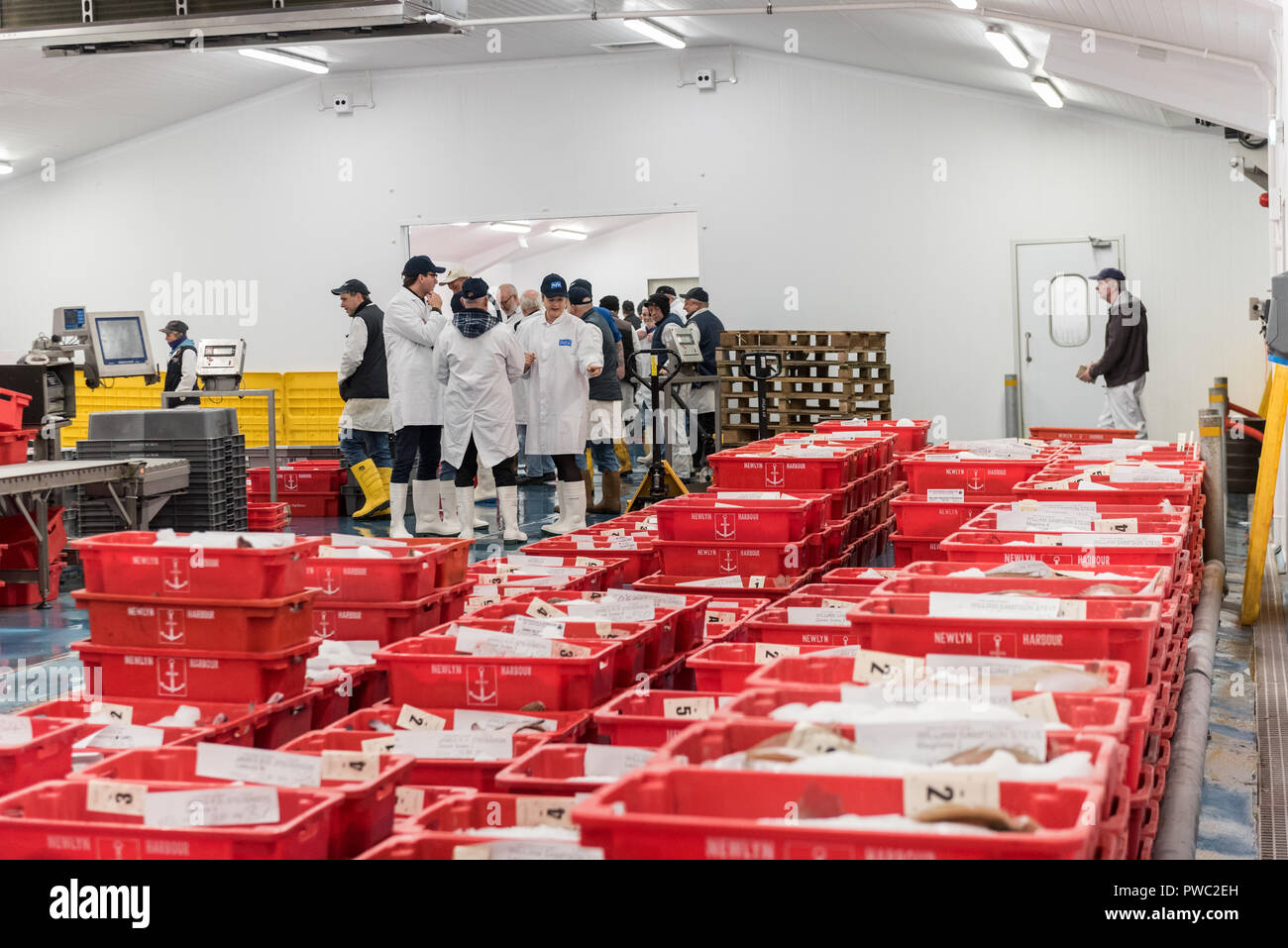 Newlyn fish market auction Cornwall Stock Photo - Alamy