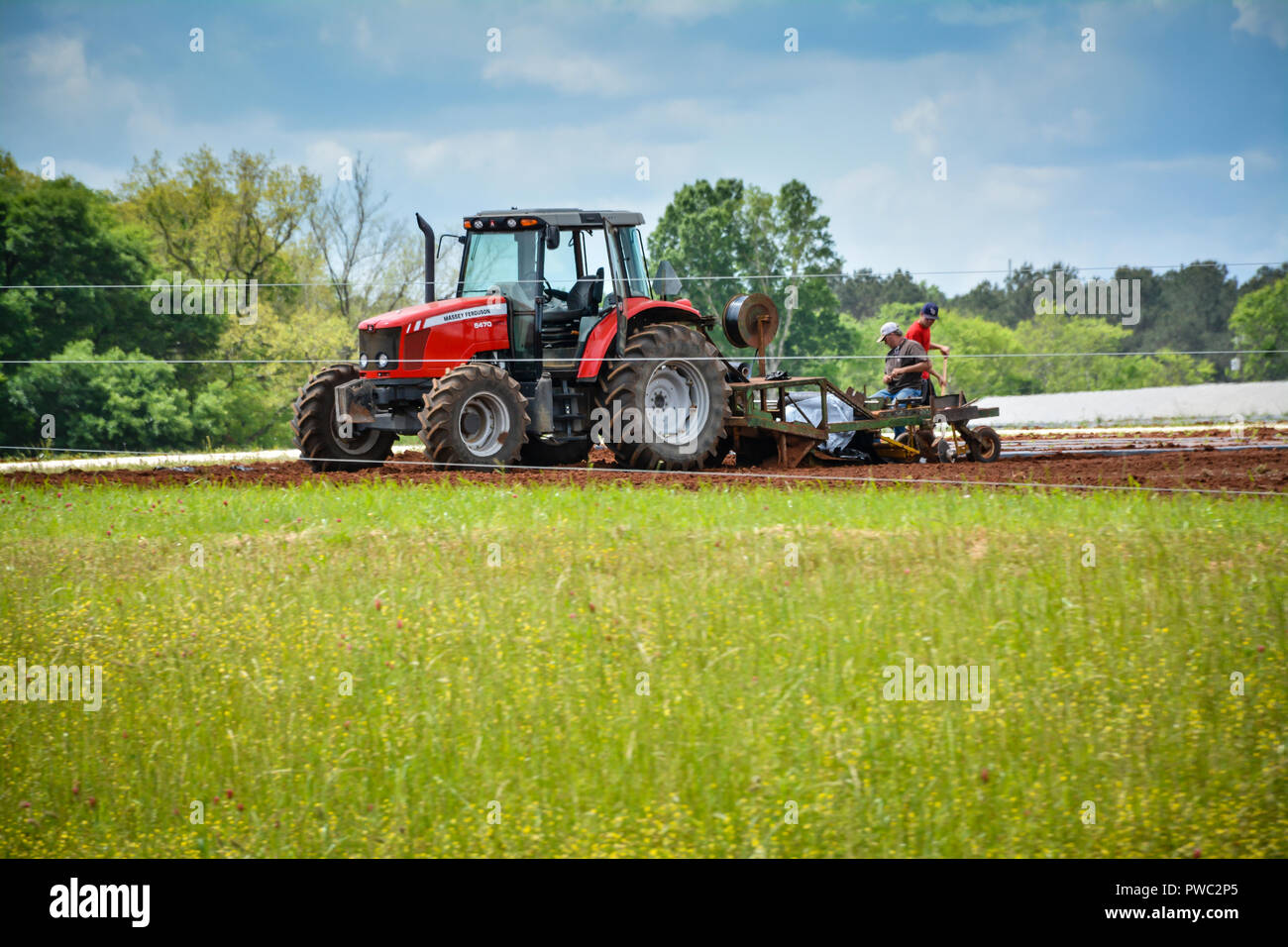 Two farmers plow and sow seed behind red tractor in green field near ...