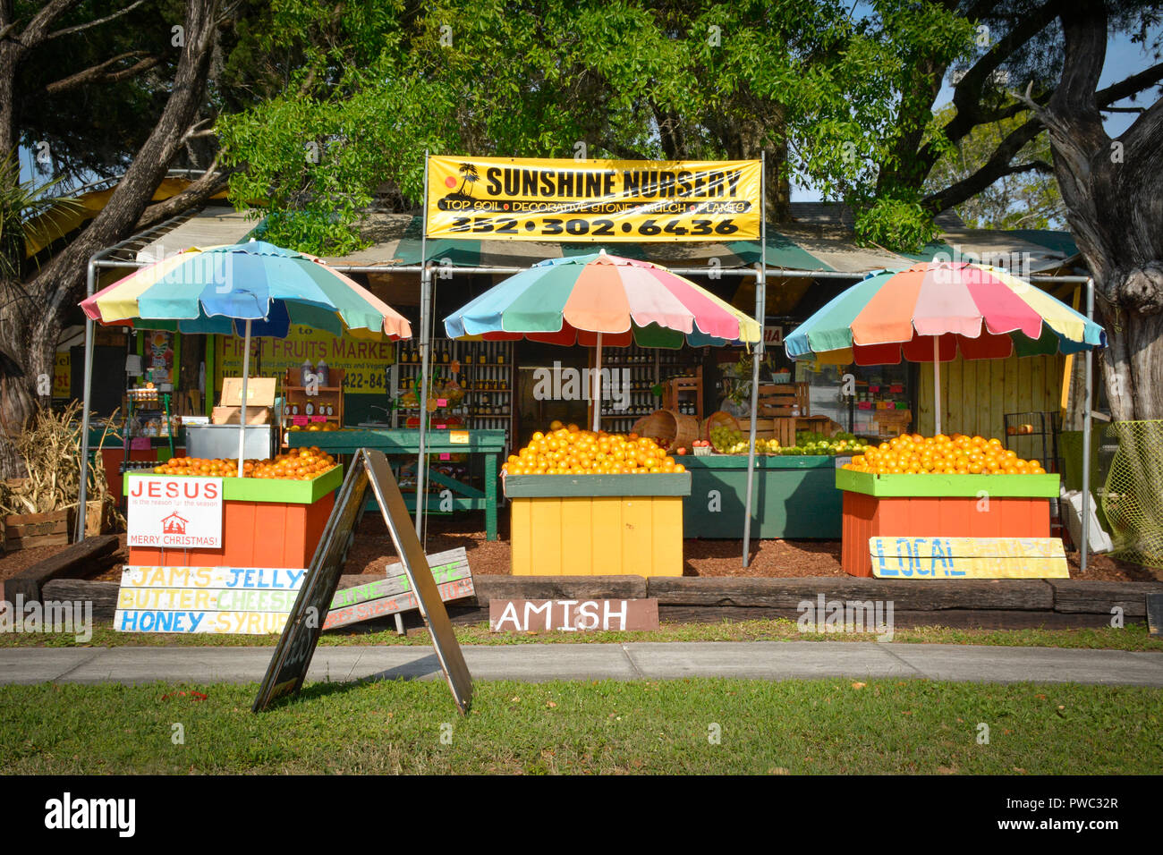 Florida panhandle honey hi-res stock photography and images - Alamy