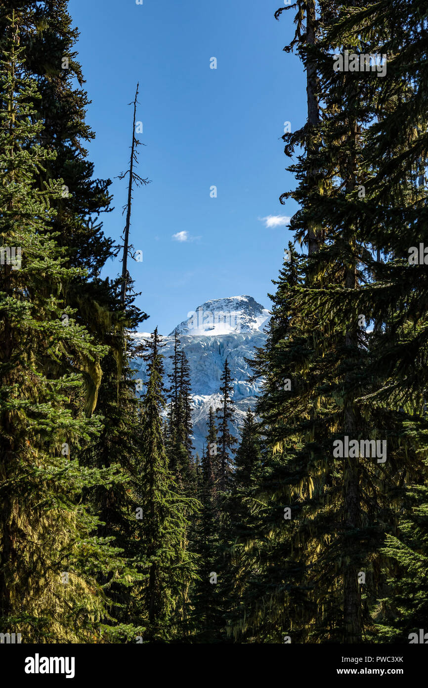 Joffre provincial park hi-res stock photography and images - Alamy