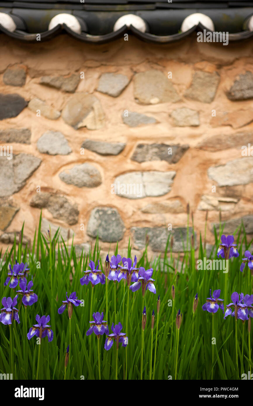 Oeam folk village, Asan-si, Chungcheongnam-do, South korea Stock Photo ...