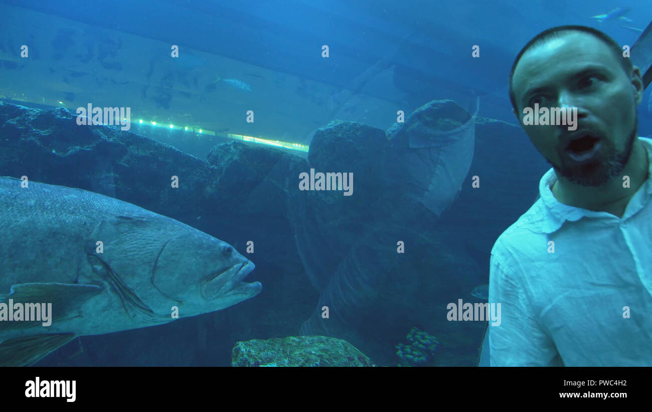 Girl watching shark at aquarium hi-res stock photography and images - Alamy