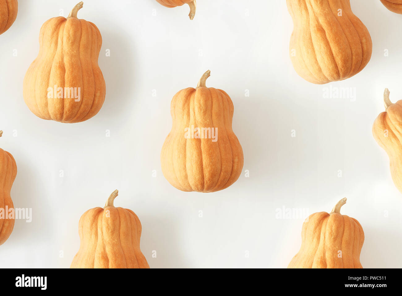 Flat lay set pumpkins on white background. Fall autumn minimal concept ...