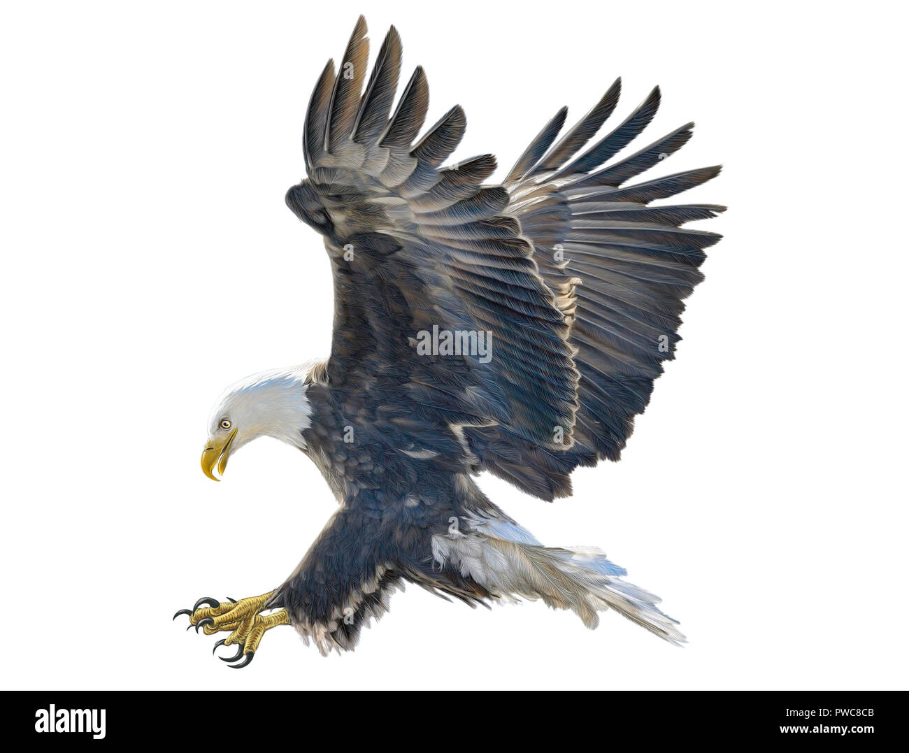 Bald eagle fly landing hand draw on white background illustration Stock ...