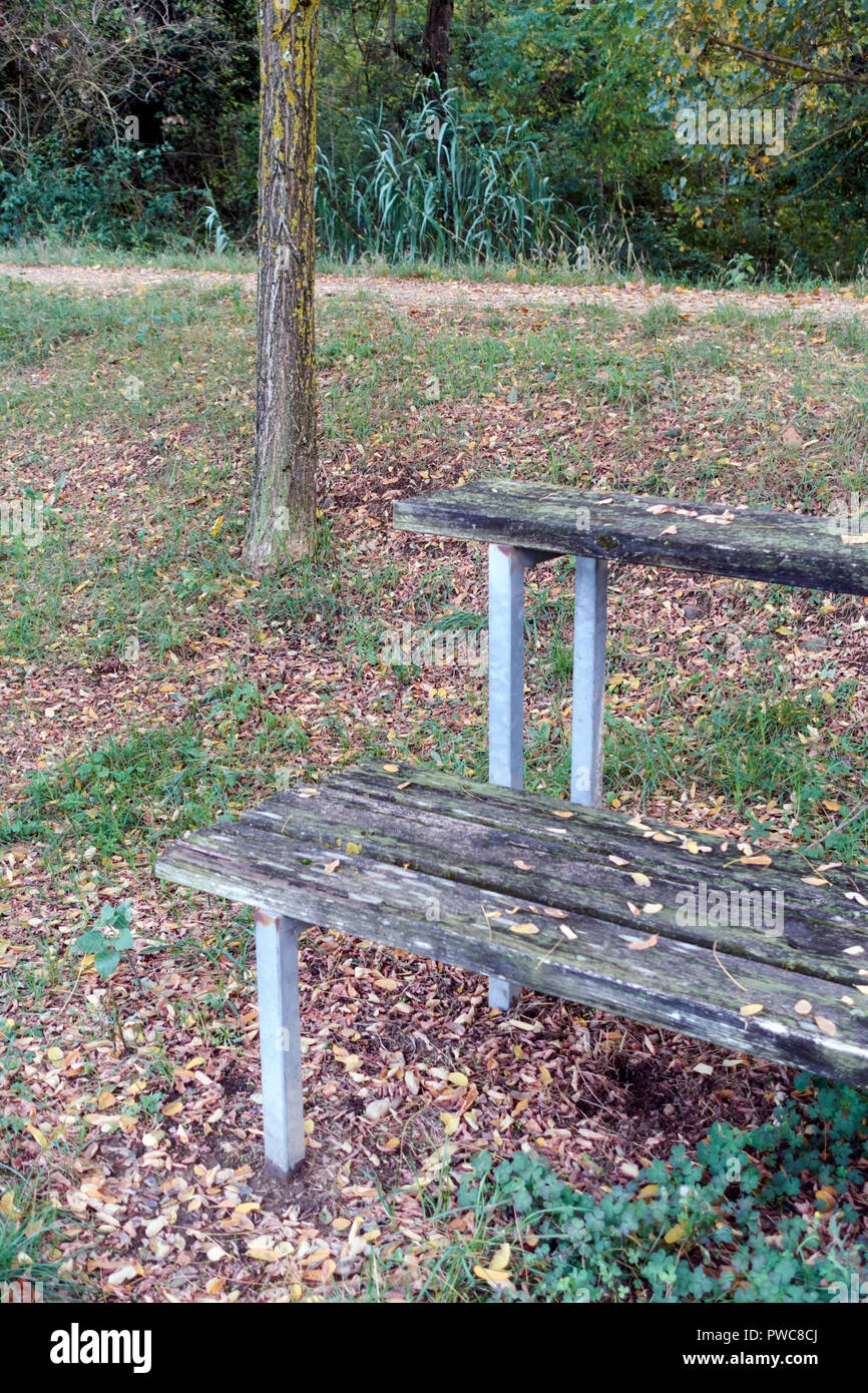 Baseball stands cheering hi-res stock photography and images - Alamy