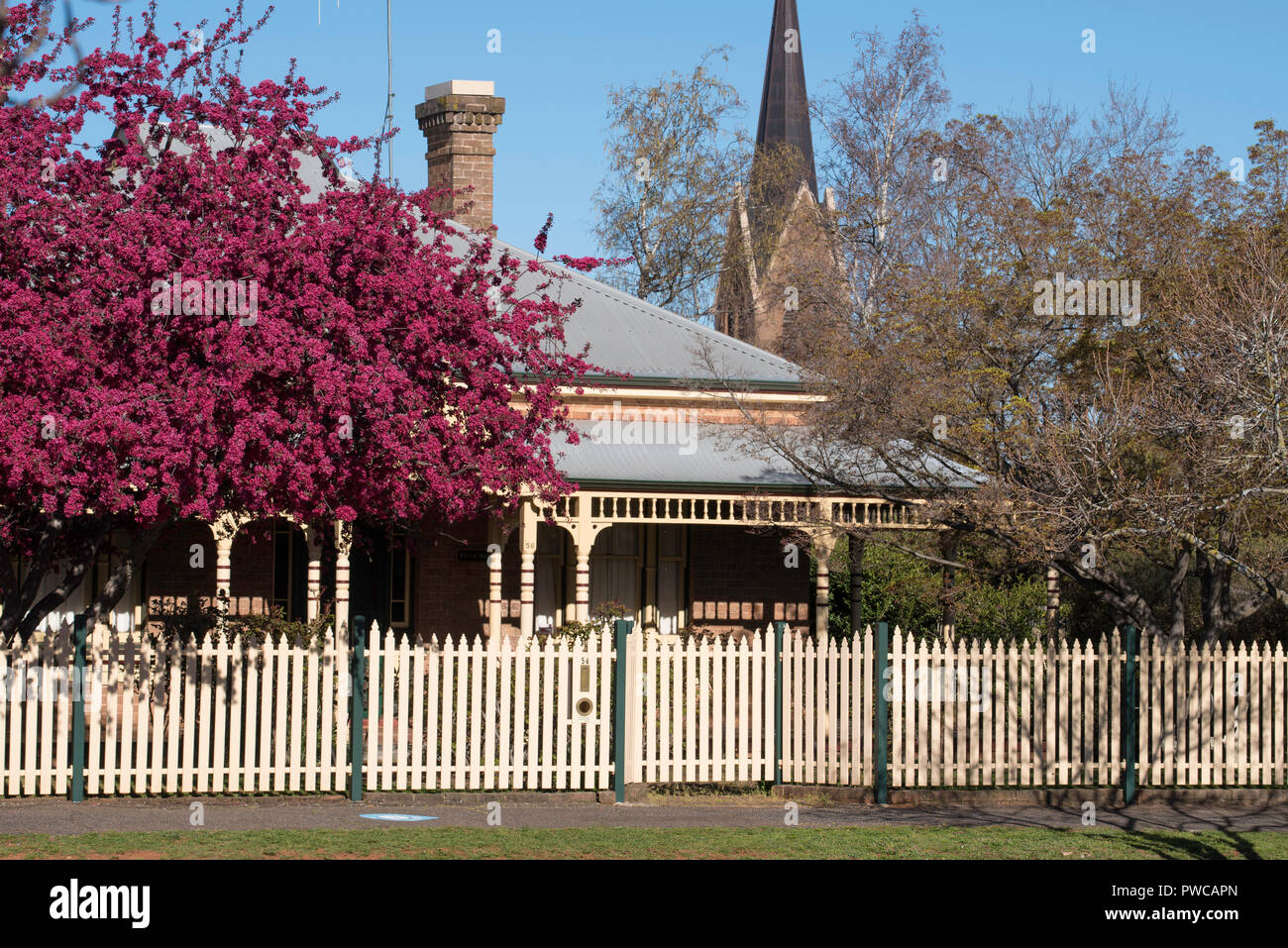 A large and ornate Federation Filigree design home with a picket front ...