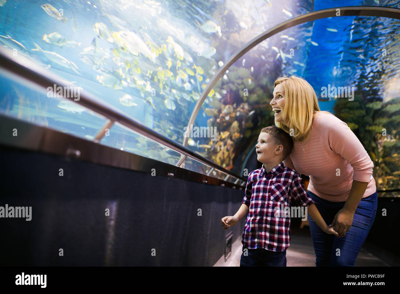 Aquarium fish family education hi-res stock photography and images - Alamy