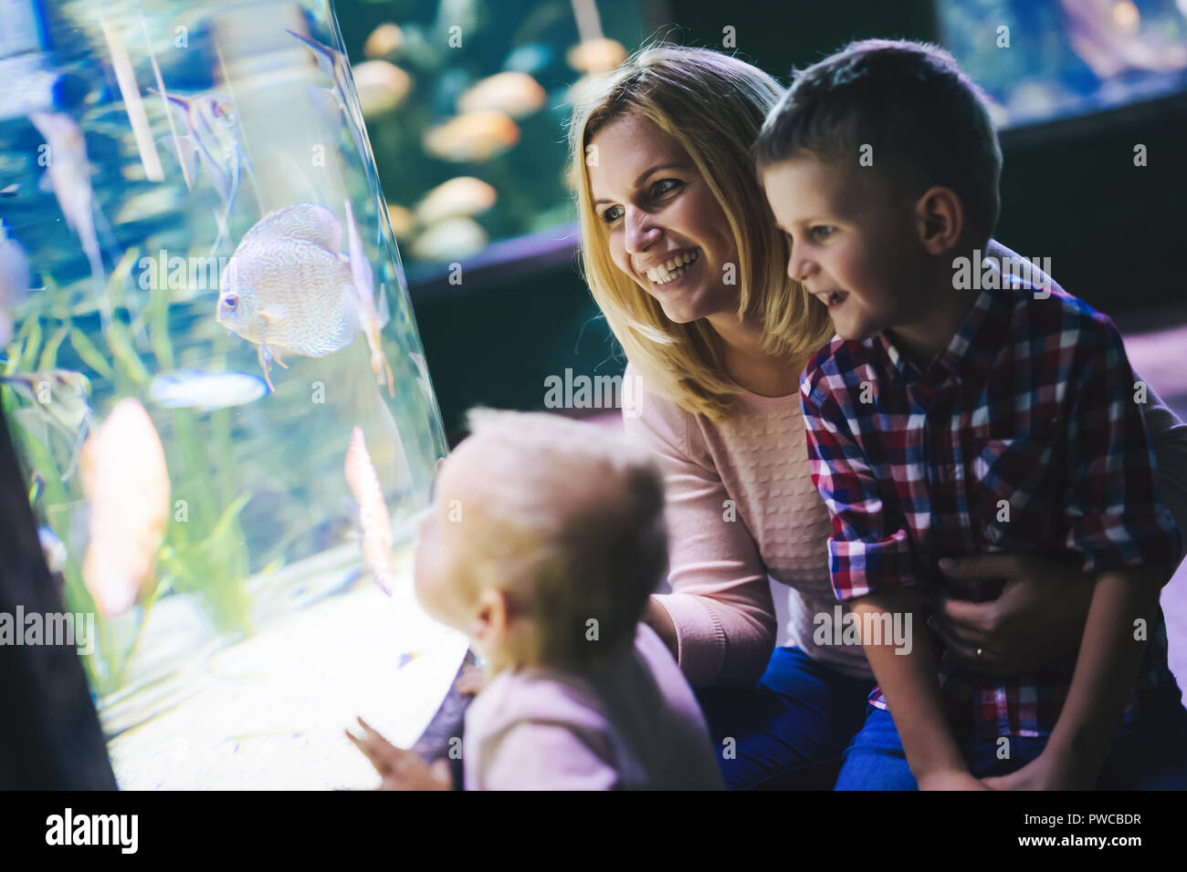 Family fish hi-res stock photography and images - Alamy