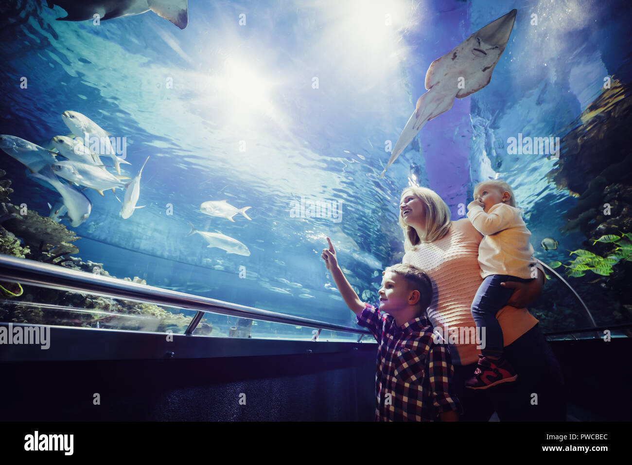 Underwater activities fish hi-res stock photography and images - Alamy