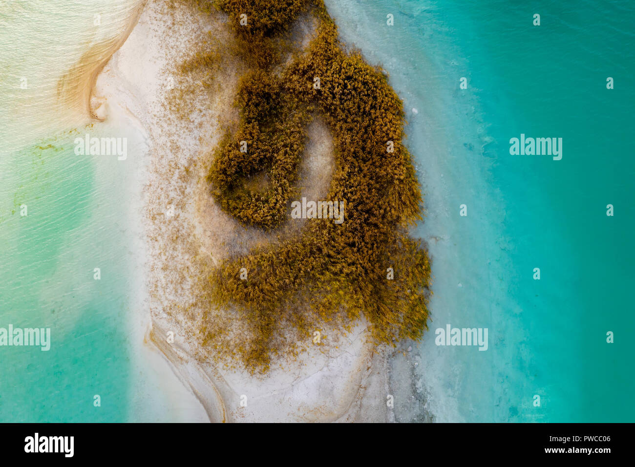 Top view on beach line hi-res stock photography and images - Alamy