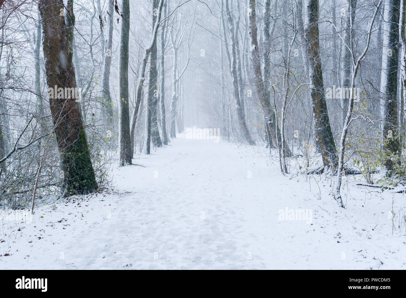 Rotterdam winter hi-res stock photography and images - Alamy