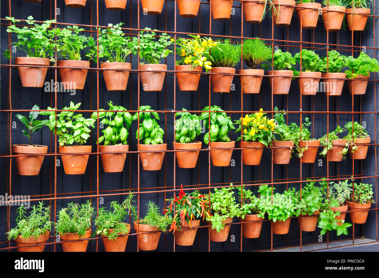 Terracotta vertical hi-res stock photography and images - Alamy