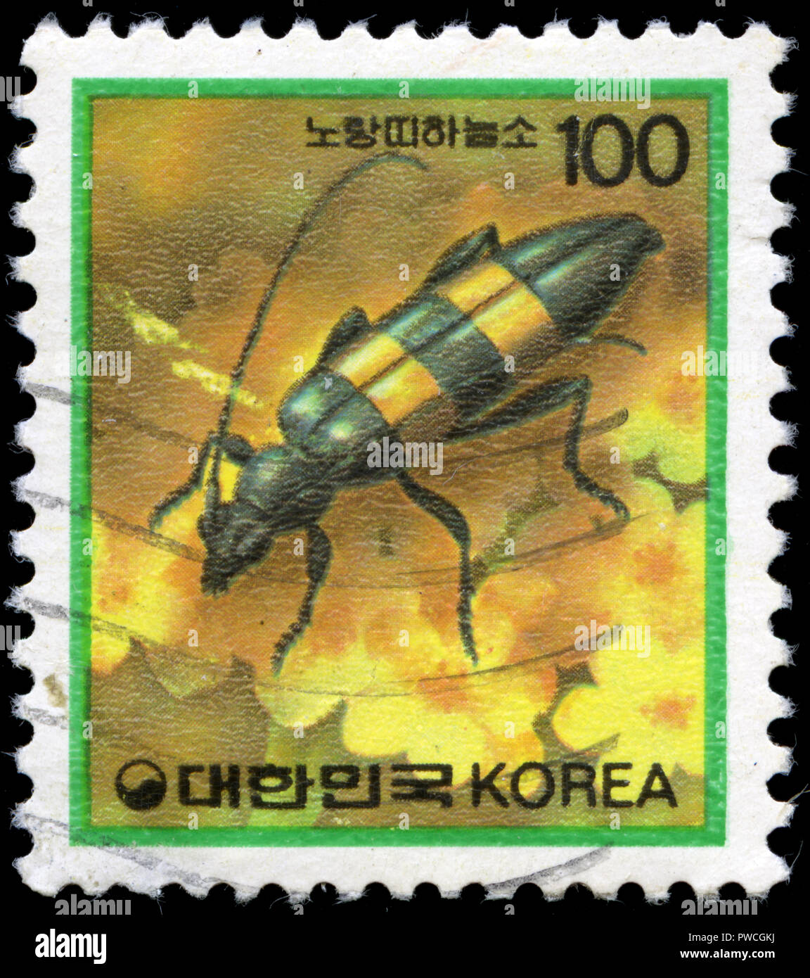 Gbeetles hi-res stock photography and images - Alamy