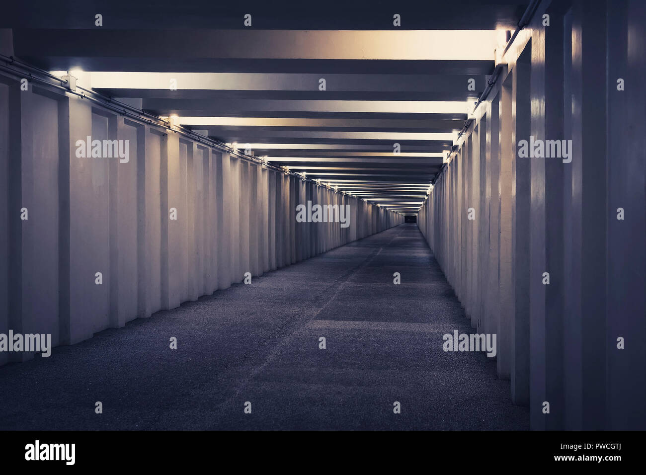 tunnel, underground pedestrian crossing at night. A long concrete ...