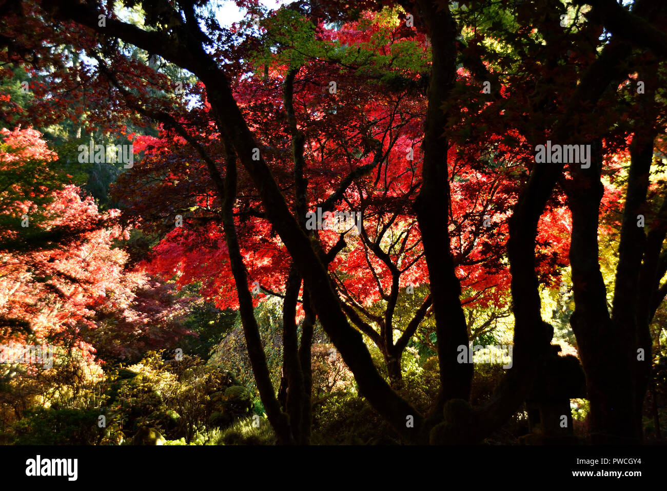 Fall colours and reflections Stock Photo - Alamy
