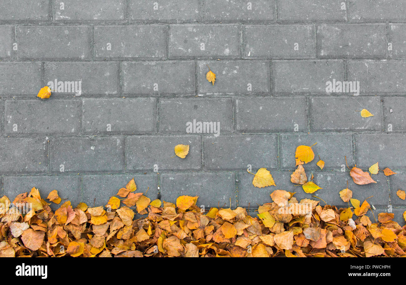Red concrete paving bricks hi-res stock photography and images - Alamy