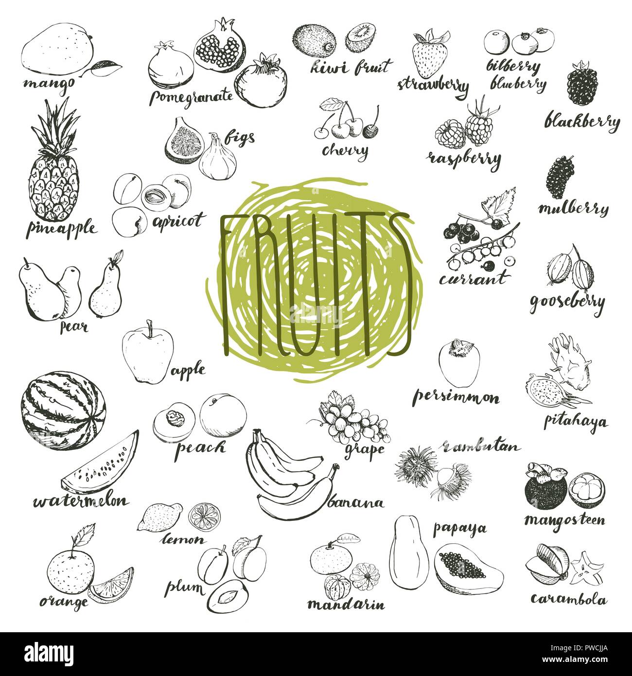 Fruits hand drawn sketches isolated on white background. Organic fruit ...