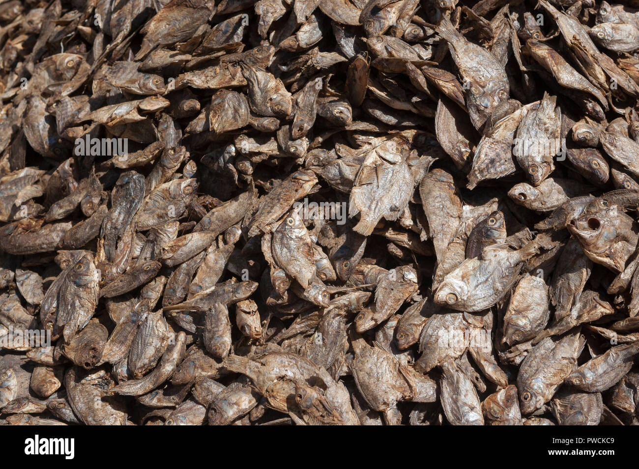 Dried fish on sale in African market Stock Photo - Alamy