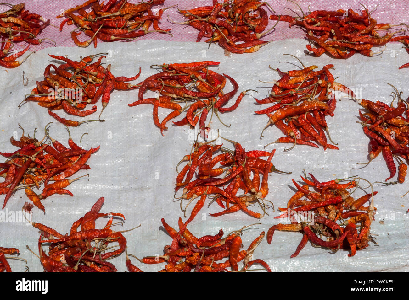 African chillies hi-res stock photography and images - Alamy