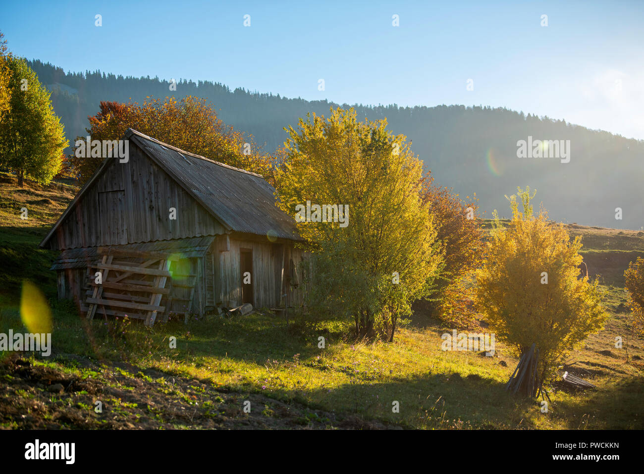 Old cabin in fall color hi-res stock photography and images - Alamy