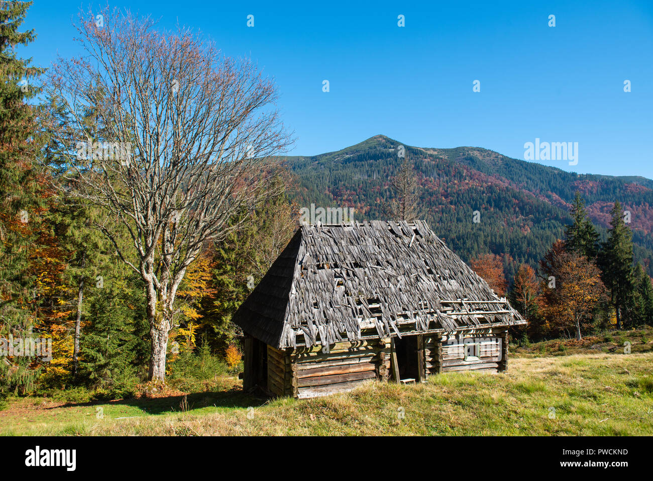 Old cabin in fall color hi-res stock photography and images - Alamy