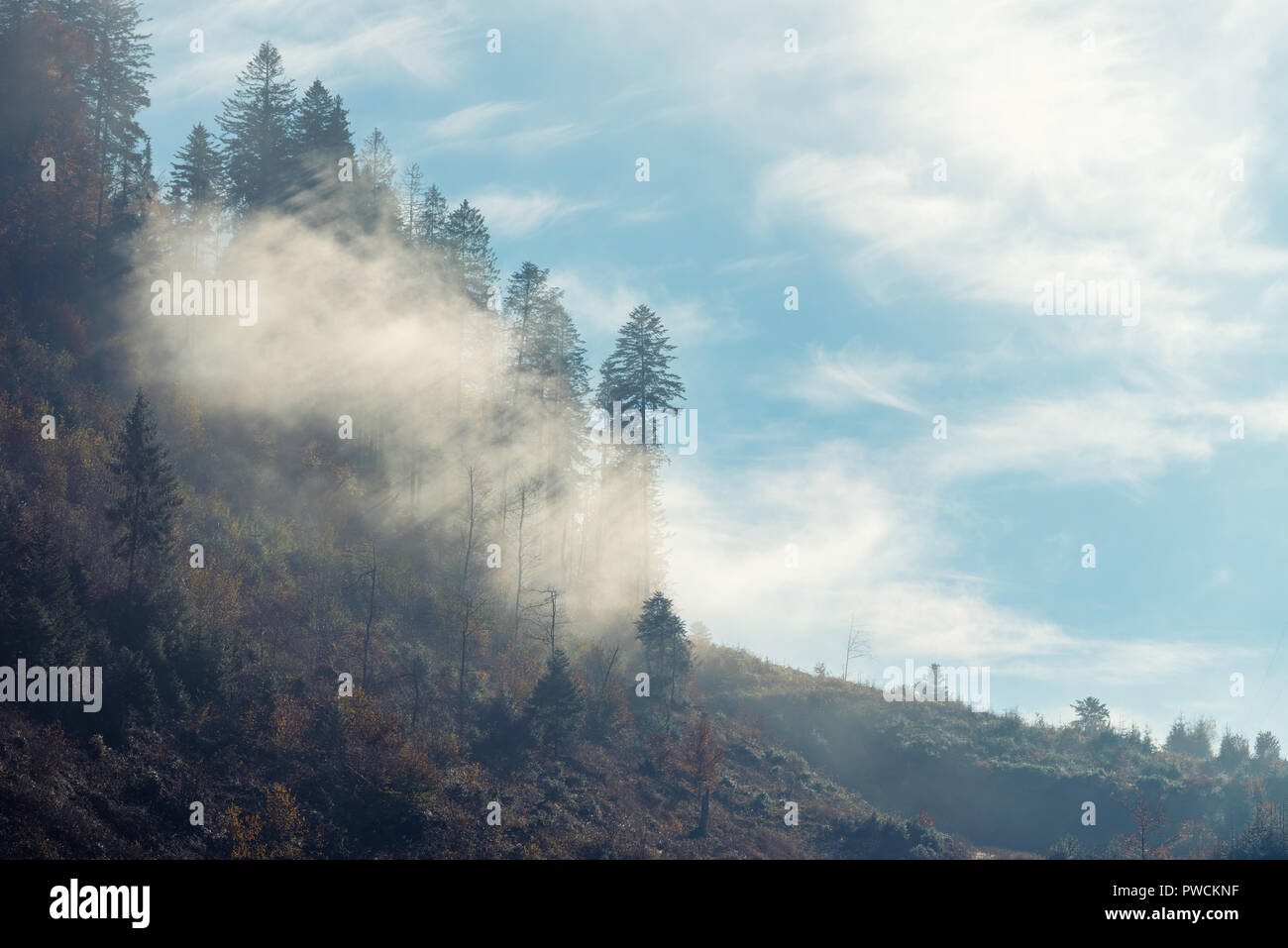 Sunshine breaking through the mist hi-res stock photography and images ...