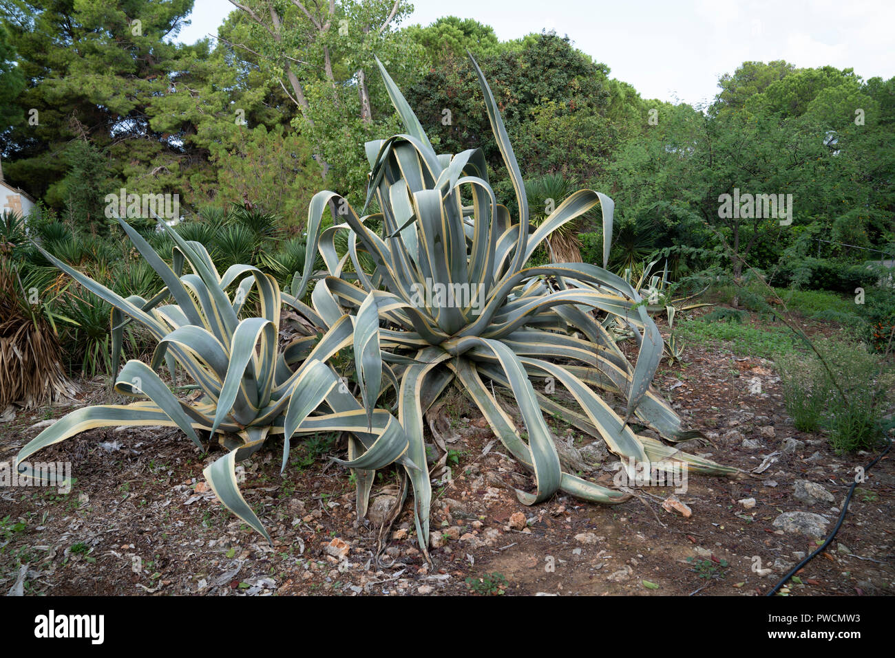 Chania regional unit Stock Photo - Alamy