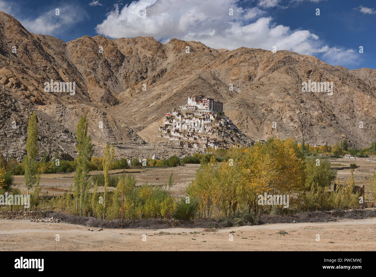 Chemrey Monastery with fall colors, Ladakh, India Stock Photo - Alamy