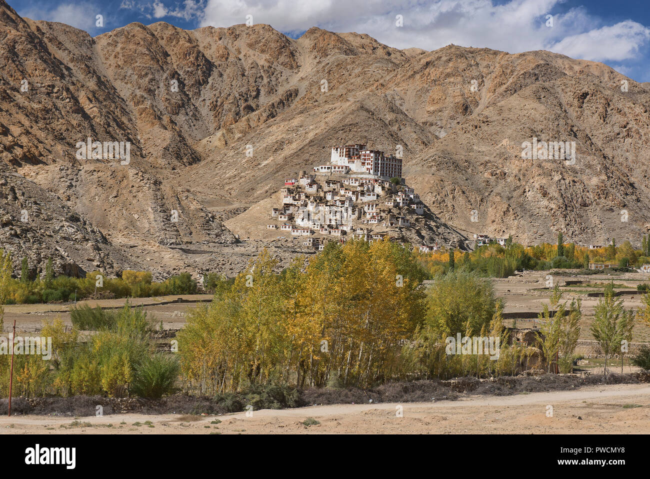Chemrey Monastery with fall colors, Ladakh, India Stock Photo - Alamy