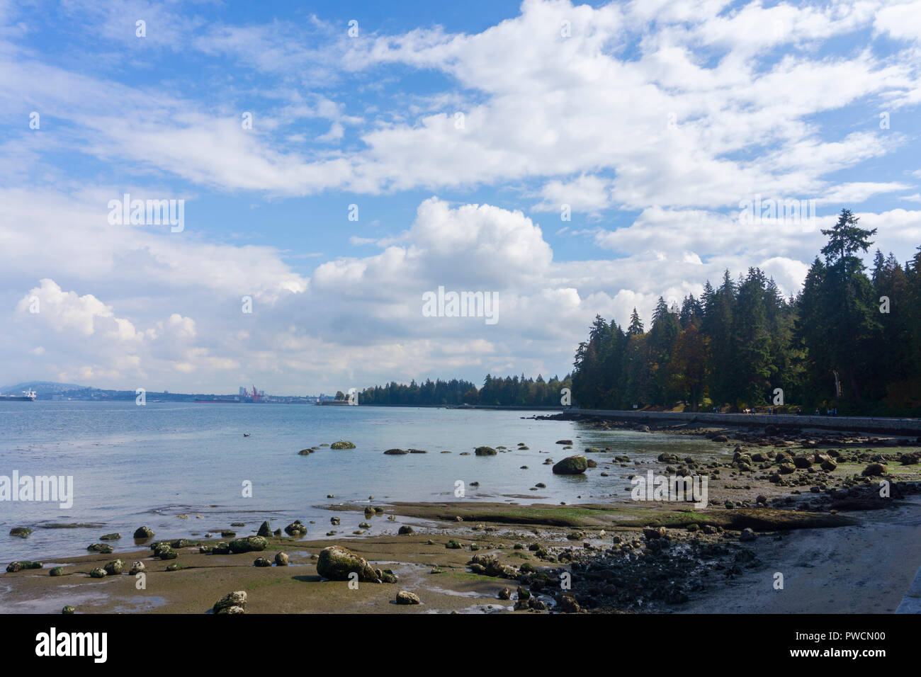 The seawall waterfront path in Stanley Park, Vancouver Stock Photo - Alamy