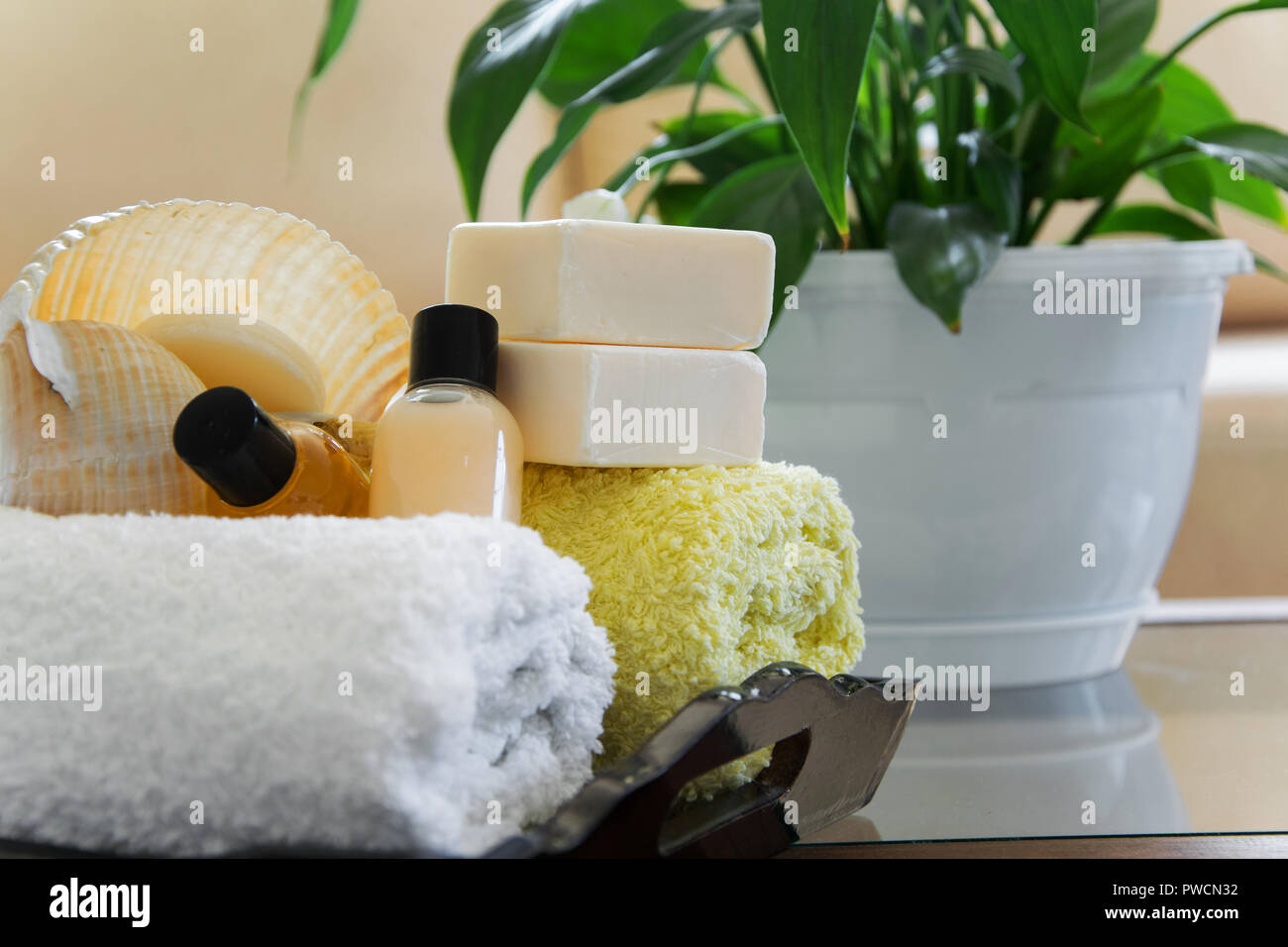 Spa wellness treatment products - body care and hygiene concept Stock ...