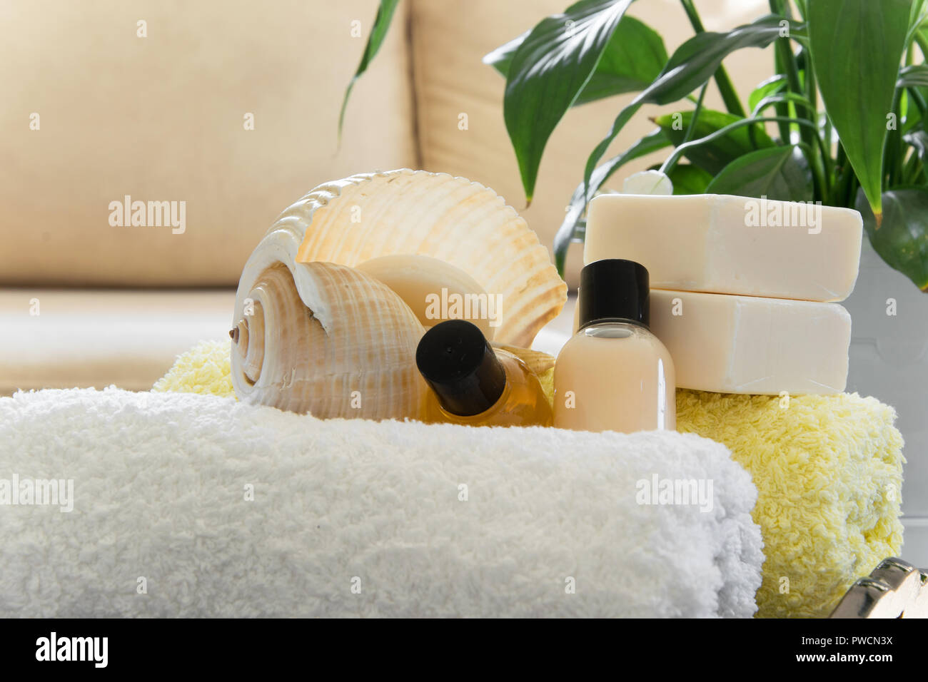 Spa wellness treatment products - body care and hygiene concept Stock ...