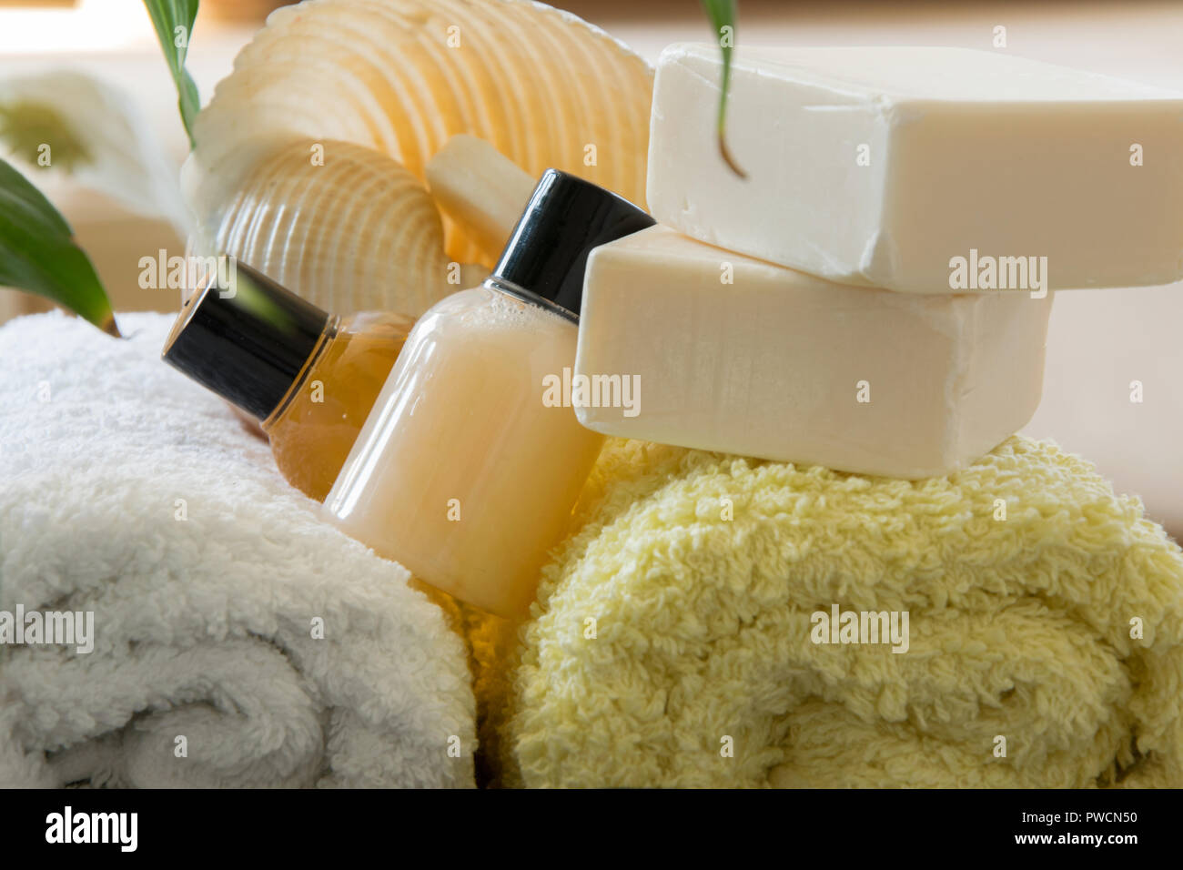 Spa wellness treatment products - body care and hygiene concept Stock ...