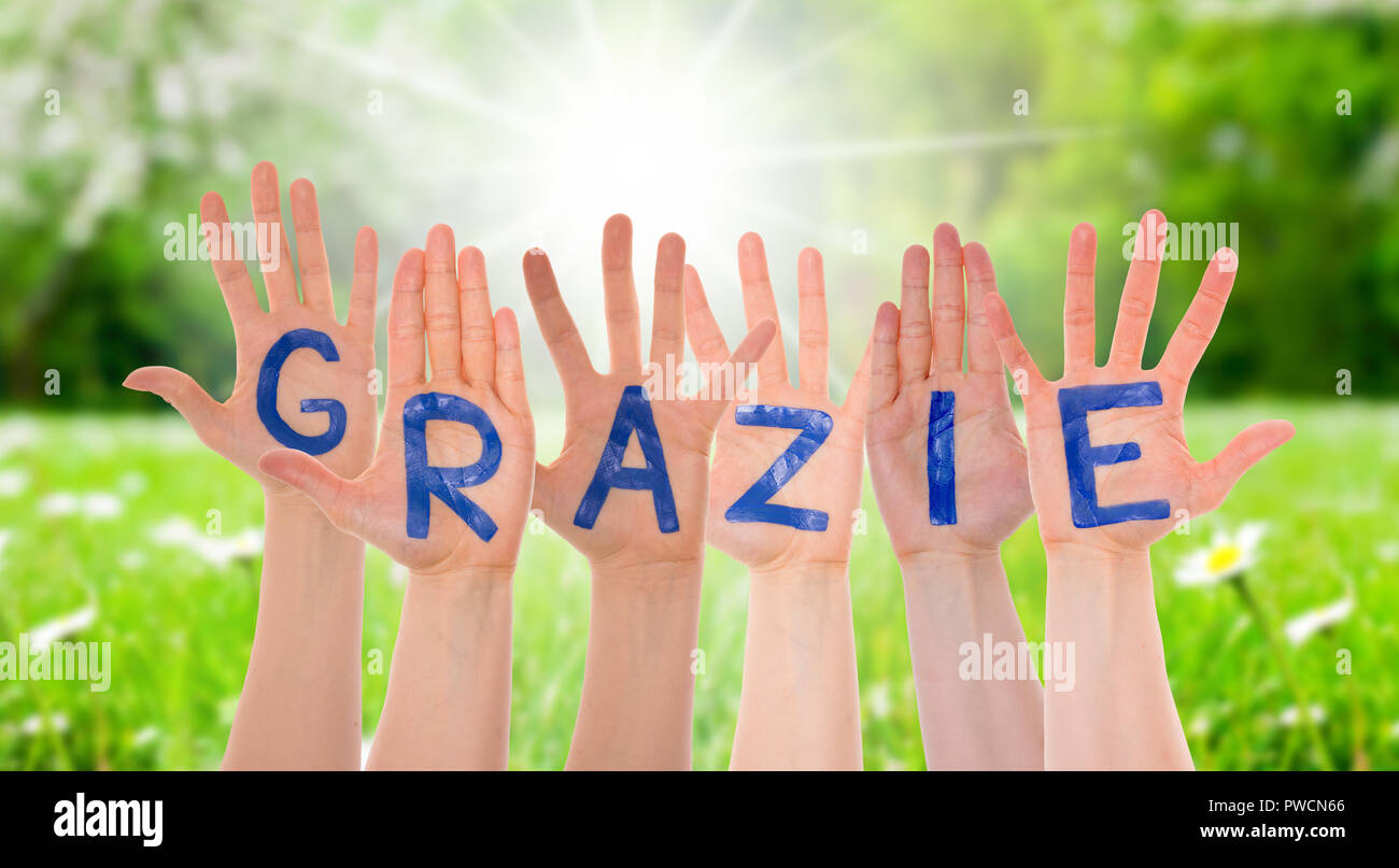 Many Hands Building Grazie Means Thank You, Sunny Grass Meadow Stock ... Many Hands Building Grazie Means Thank You, Sunny Grass Meadow Stock ...