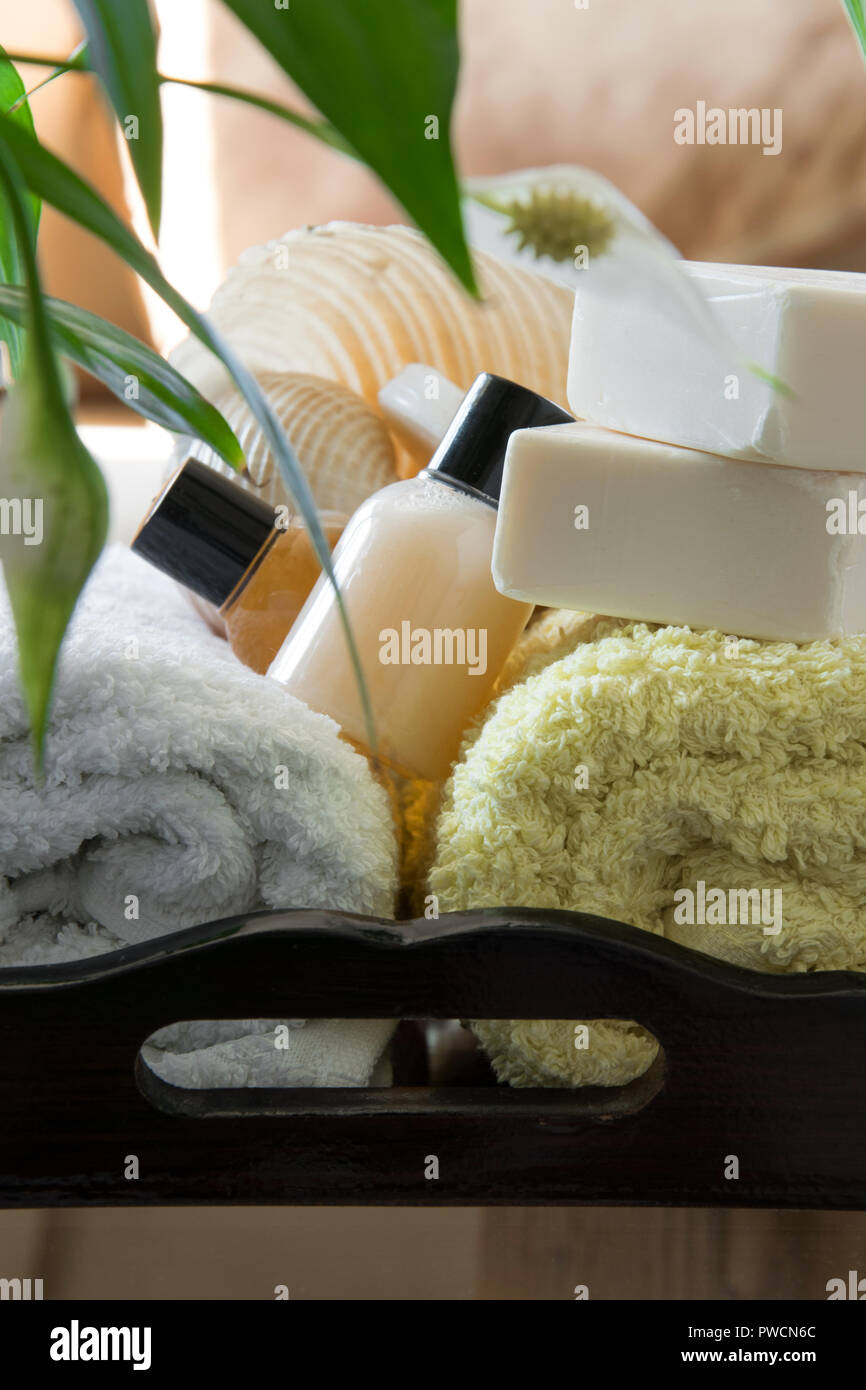 Spa wellness treatment products - body care and hygiene concept Stock ...