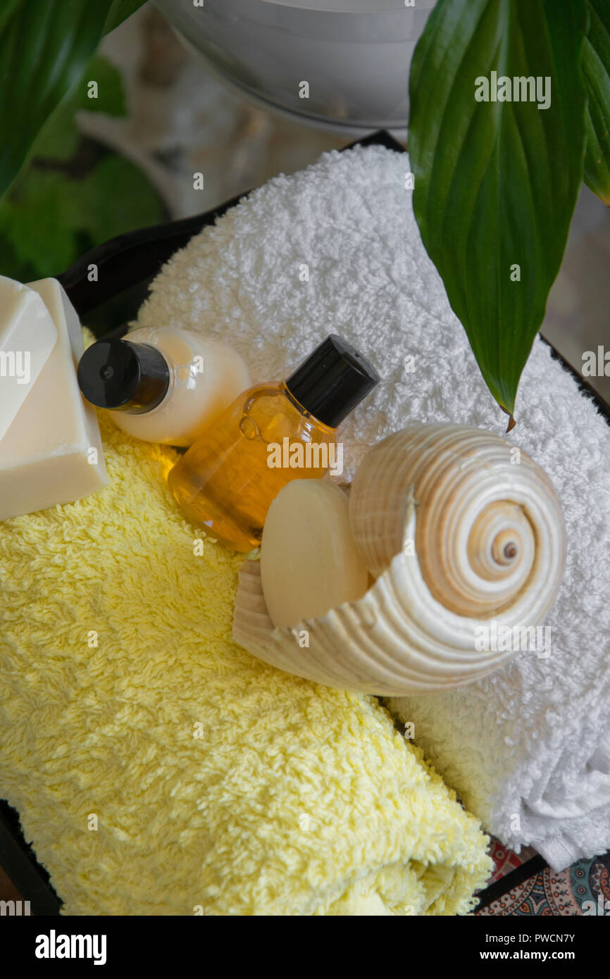 Spa wellness treatment products - body care and hygiene concept Stock ...