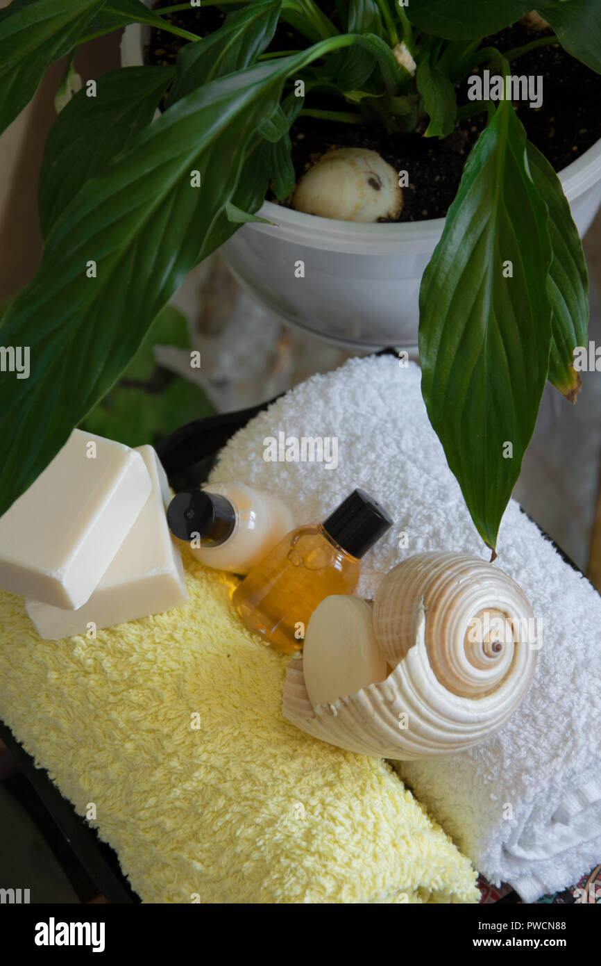 Spa wellness treatment products - body care and hygiene concept Stock ...