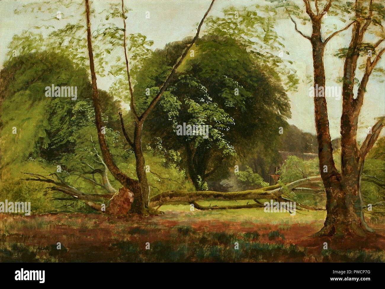 Aagaard Carl Frederik - Forest with Brought down Tree Stock Photo - Alamy