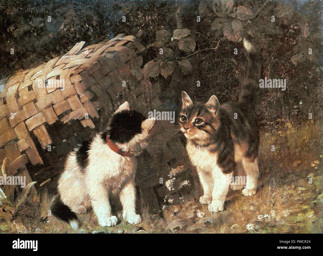 Adam II Julius - a Visitor to the Shelter Stock Photo - Alamy