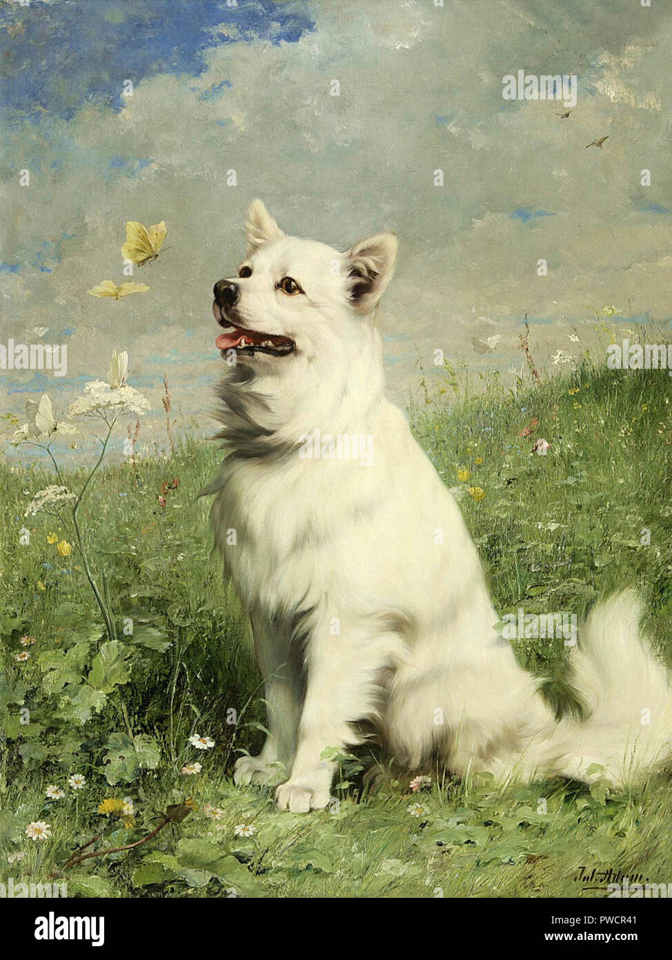 Adam II Julius - Spitz Vor Schmettelingen Stock Photo - Alamy