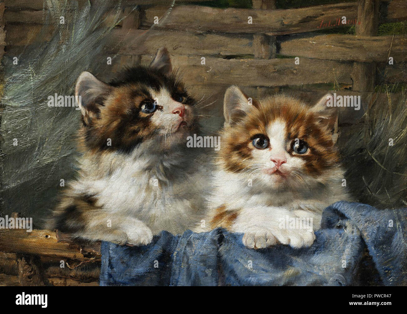 Blauem tuch hi-res stock photography and images - Alamy