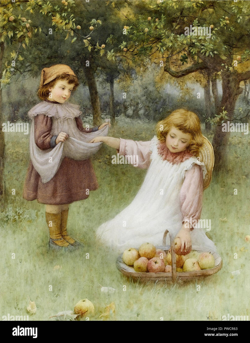 Affleck William - Collecting Apples Stock Photo - Alamy