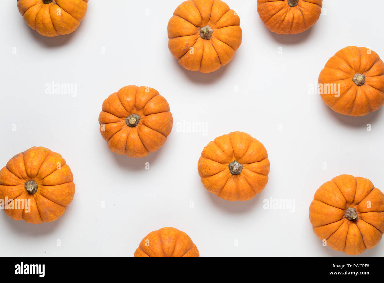Munchkin pumpkins hi-res stock photography and images - Alamy