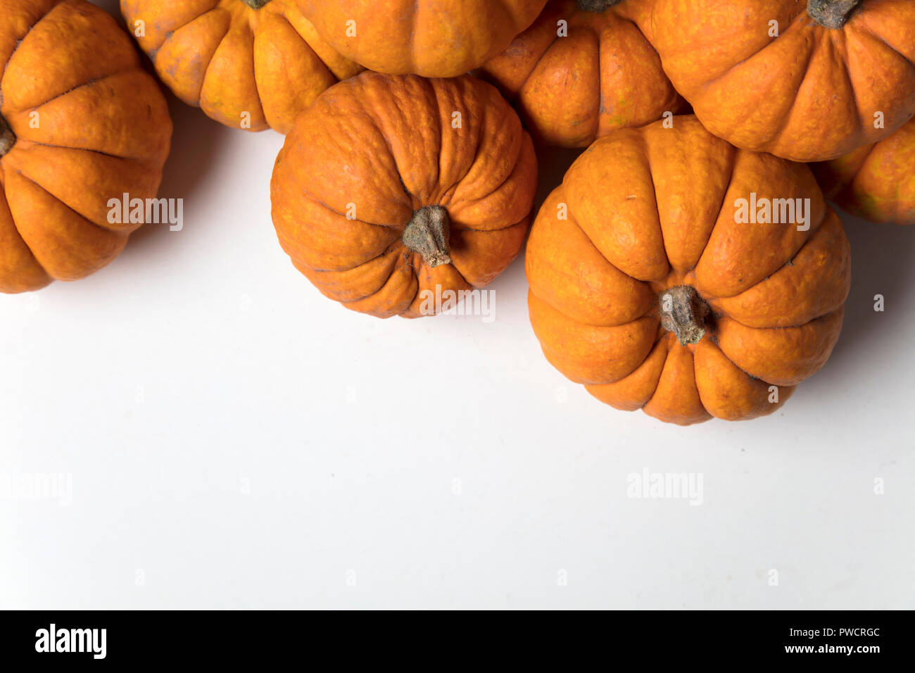 Mini munchkin pumpkin festive background Stock Photo - Alamy