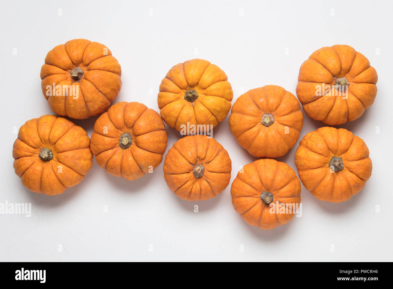 Munchkin pumpkins hi-res stock photography and images - Alamy