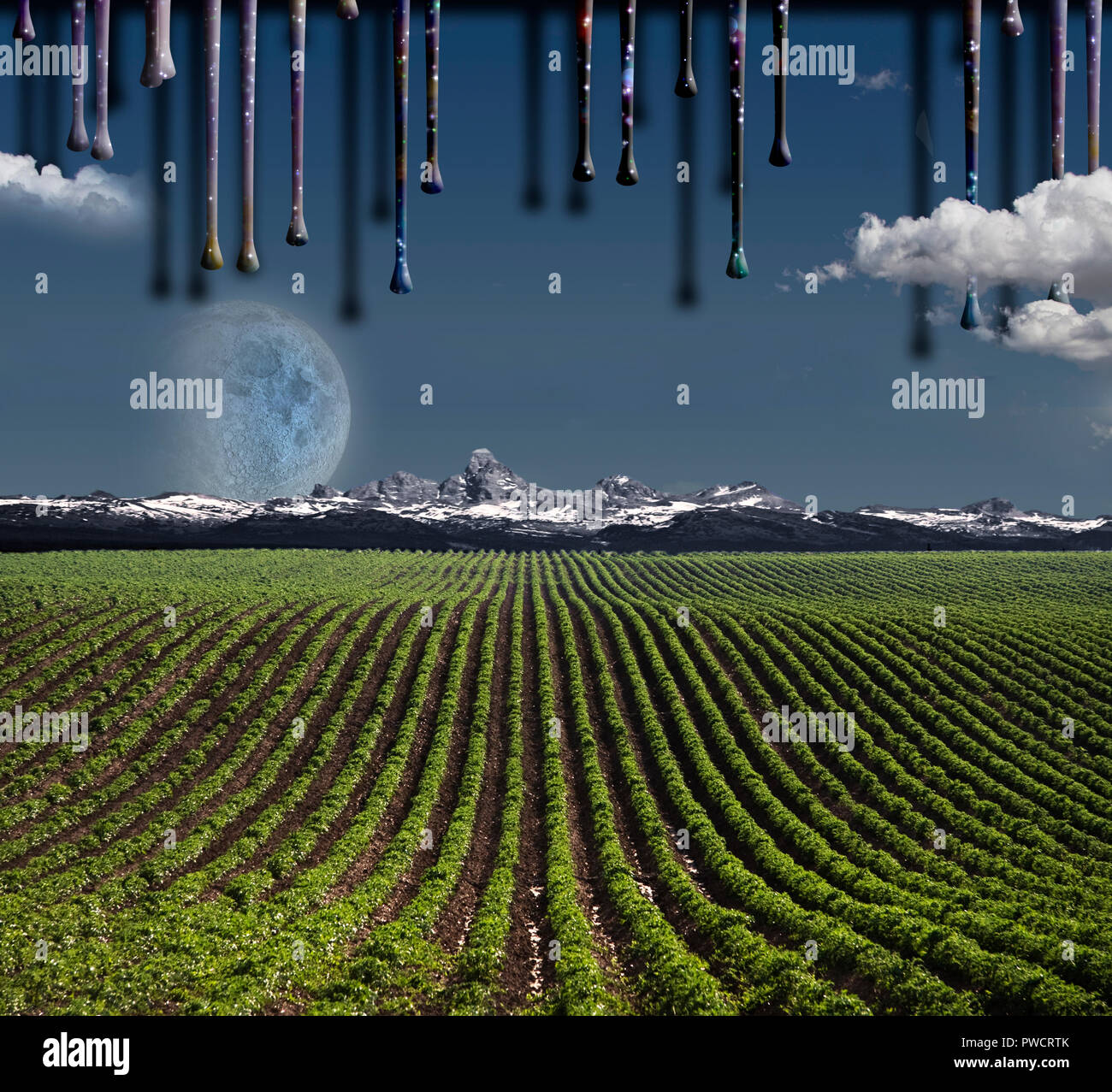 Surrealism. Field with green rows. Giant moon rises over the mountains ...