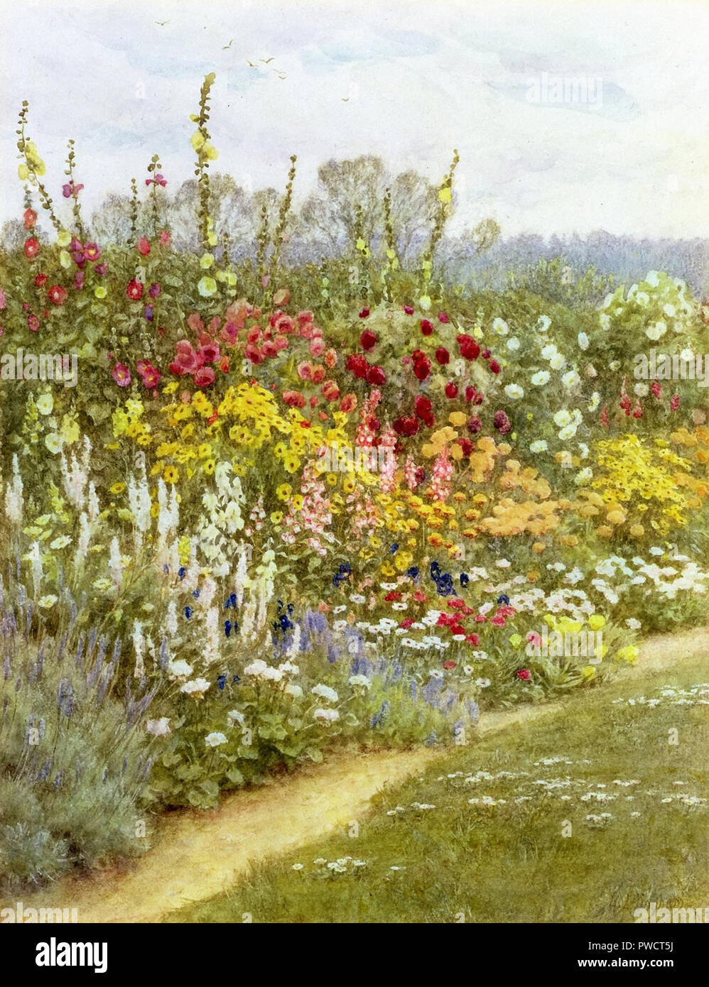 Herbaceous border art hi-res stock photography and images - Alamy