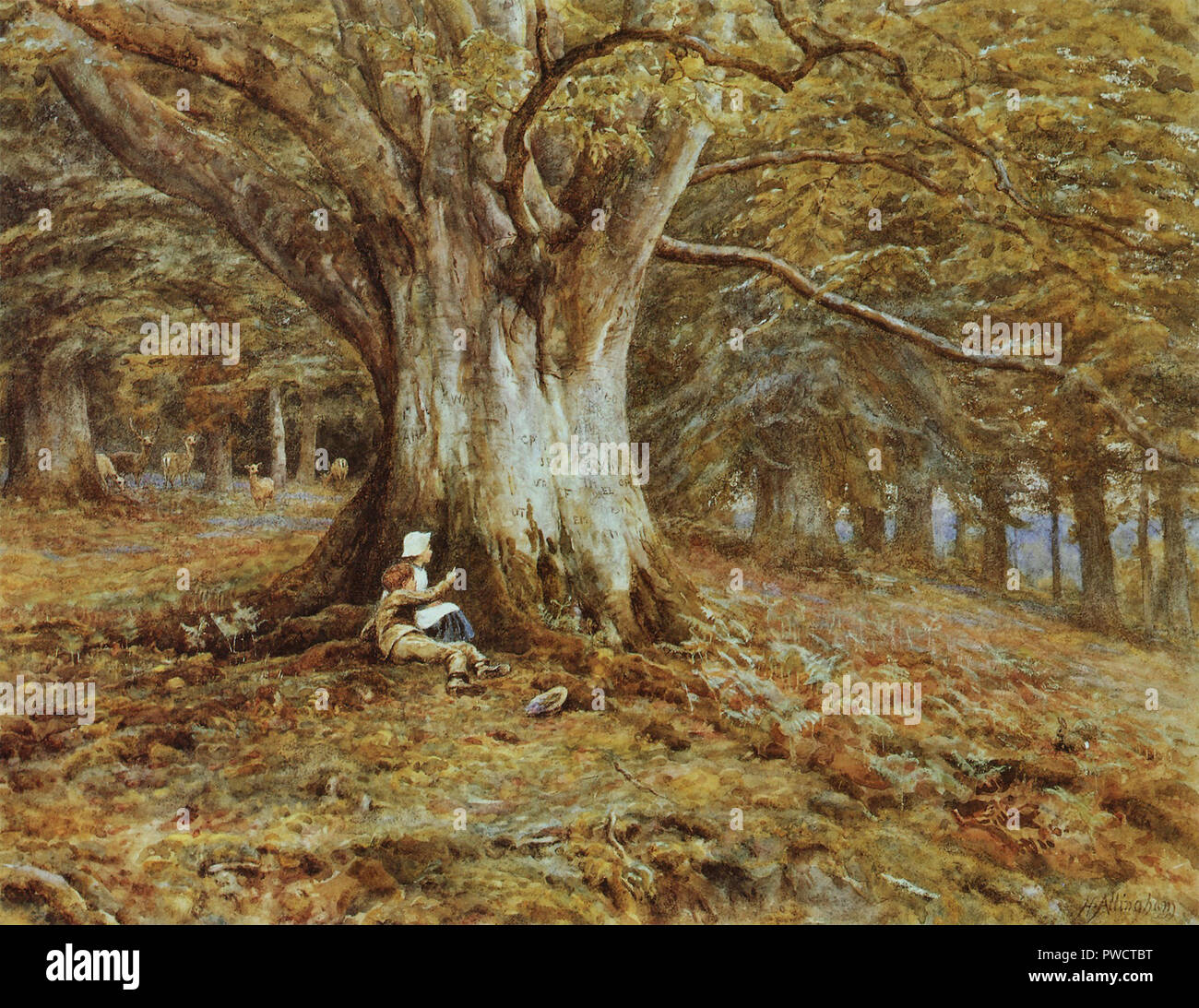 Tree helen hi-res stock photography and images - Alamy